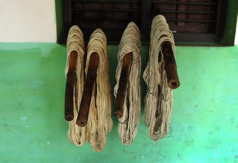 Indian Hand Fan (Pankha) | Story of Indian crafts and craftsmen