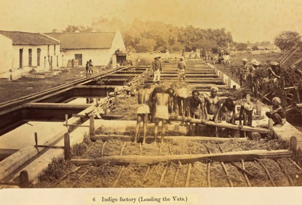 Indigo in India | Story of Indian crafts and craftsmen