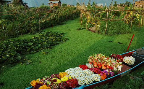 Kashmir Shikara making Craft | Story of Indian crafts and craftsmen